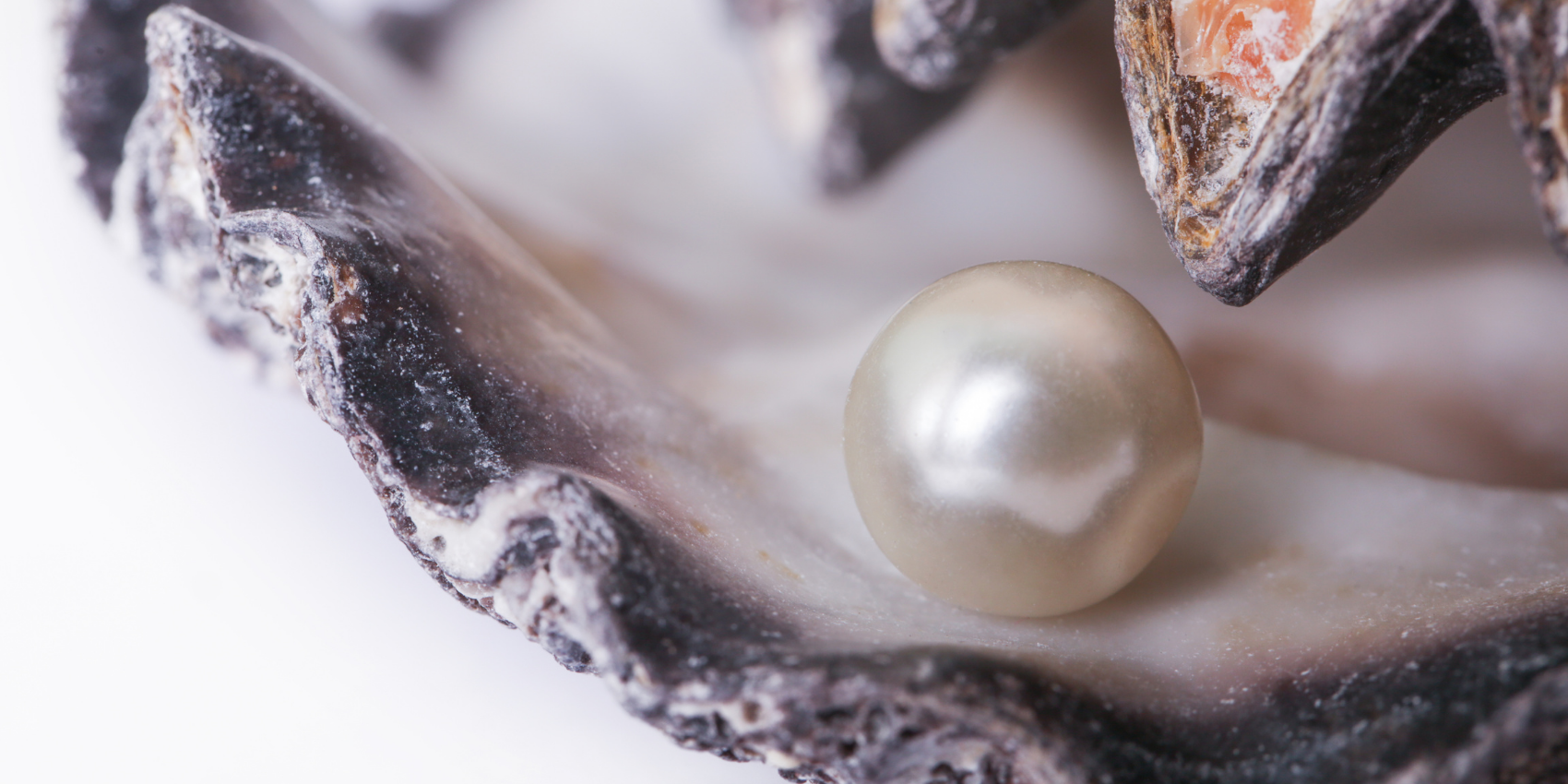 Totul despre perlele naturale istorie cum apar tipuri depozitare si ...